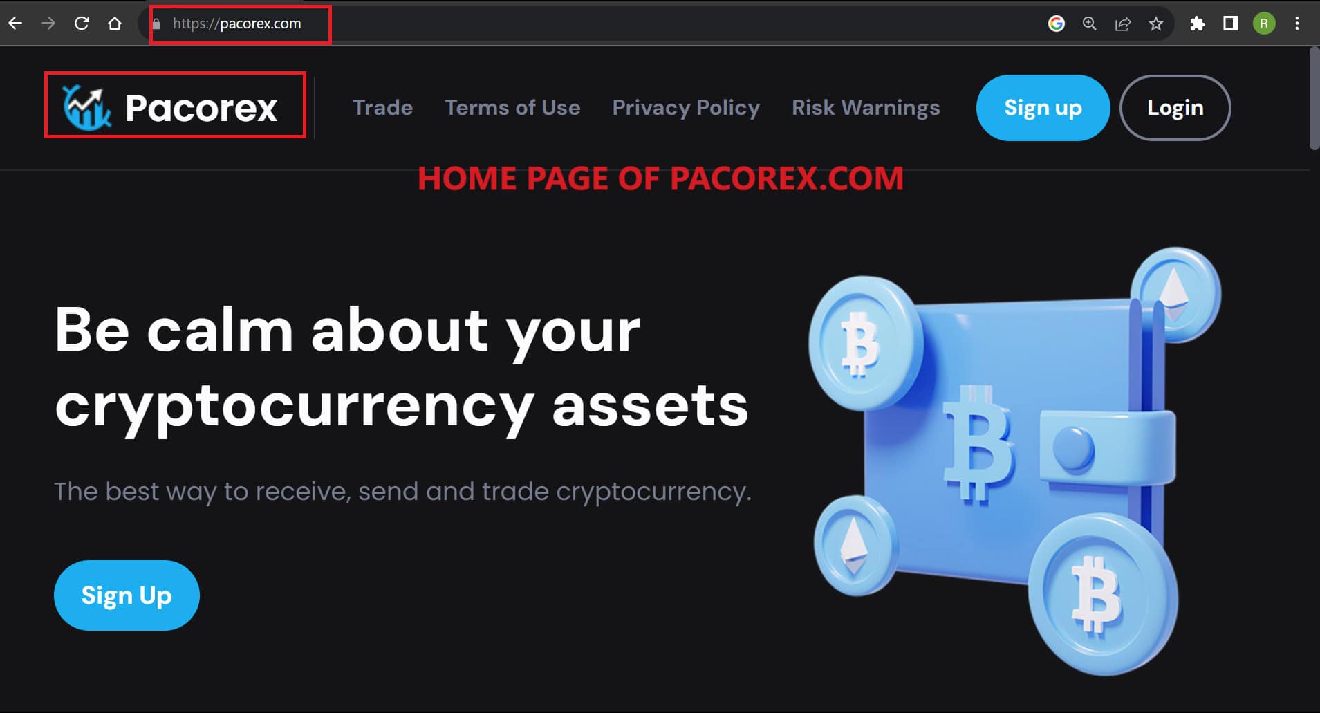 Is webfintex.com A Scam? (Beware Of This Crypto Scam!)