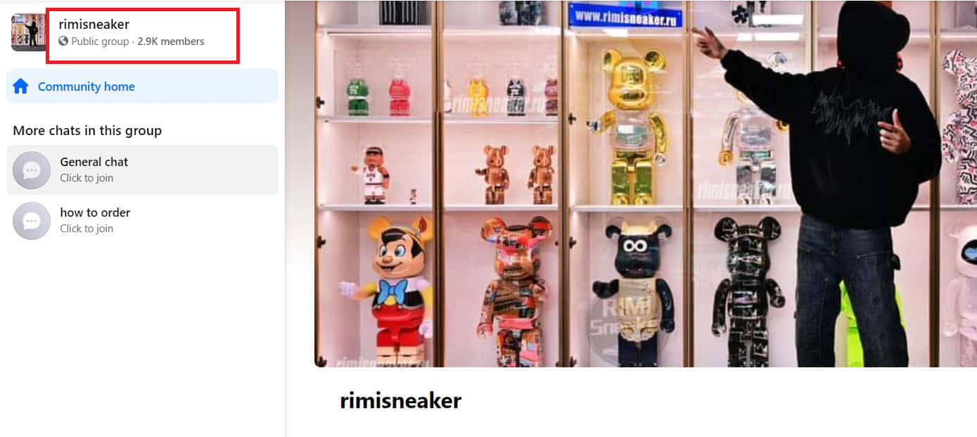 Is rimisneaker.ru A Scam? (Sneakerheads, Watch Out!)